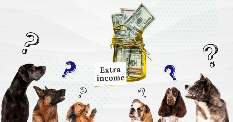 How Much Money Do You Need And How To Make More Money